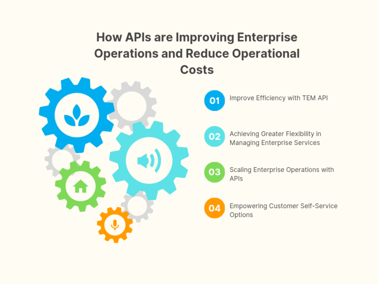 The Role of TEM APIs in Enterprise Operations - Spenza